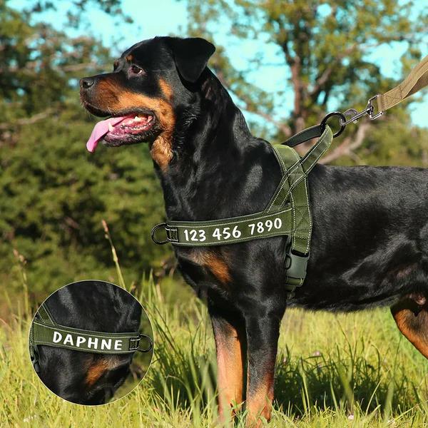 Unique Dog Harnesses with Personalized Name Tags